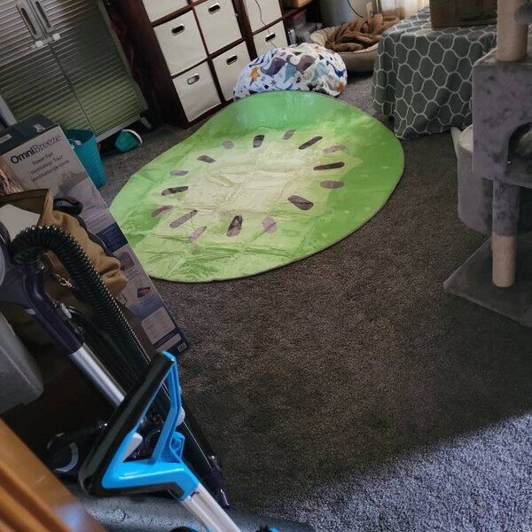 Kiwi Rug Playroom Rug, Blue Decoration, Playroom Decor, Fruit Decor ...