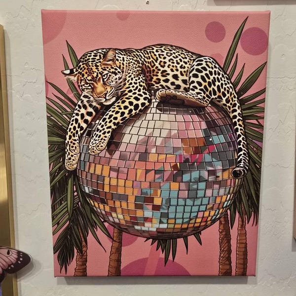 Cheetah Sleeping Under A Disco Ball - Horizontal Version - Cheetah ...