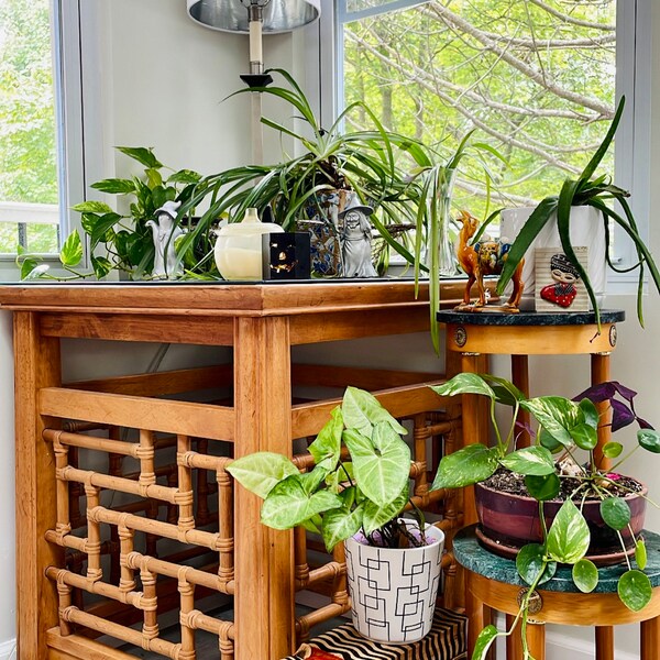 Tiger Cat Plant Stand Black & Beige Stripe Dots Leopard Spots Balinese ...