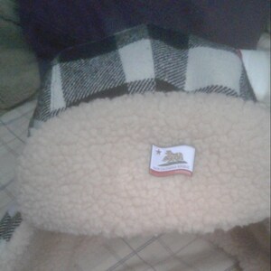 Fallout NCR Flag Enamel Pin RESTOCKED - Etsy