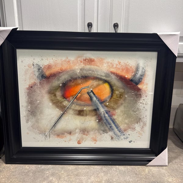 Eye Anatomy Art Print, Periorbital Cross-section Watercolor Style ...