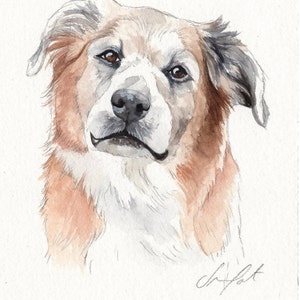 MINI Pet Portraits Simple Custom Pet Portrait. Animal Watercolor ...