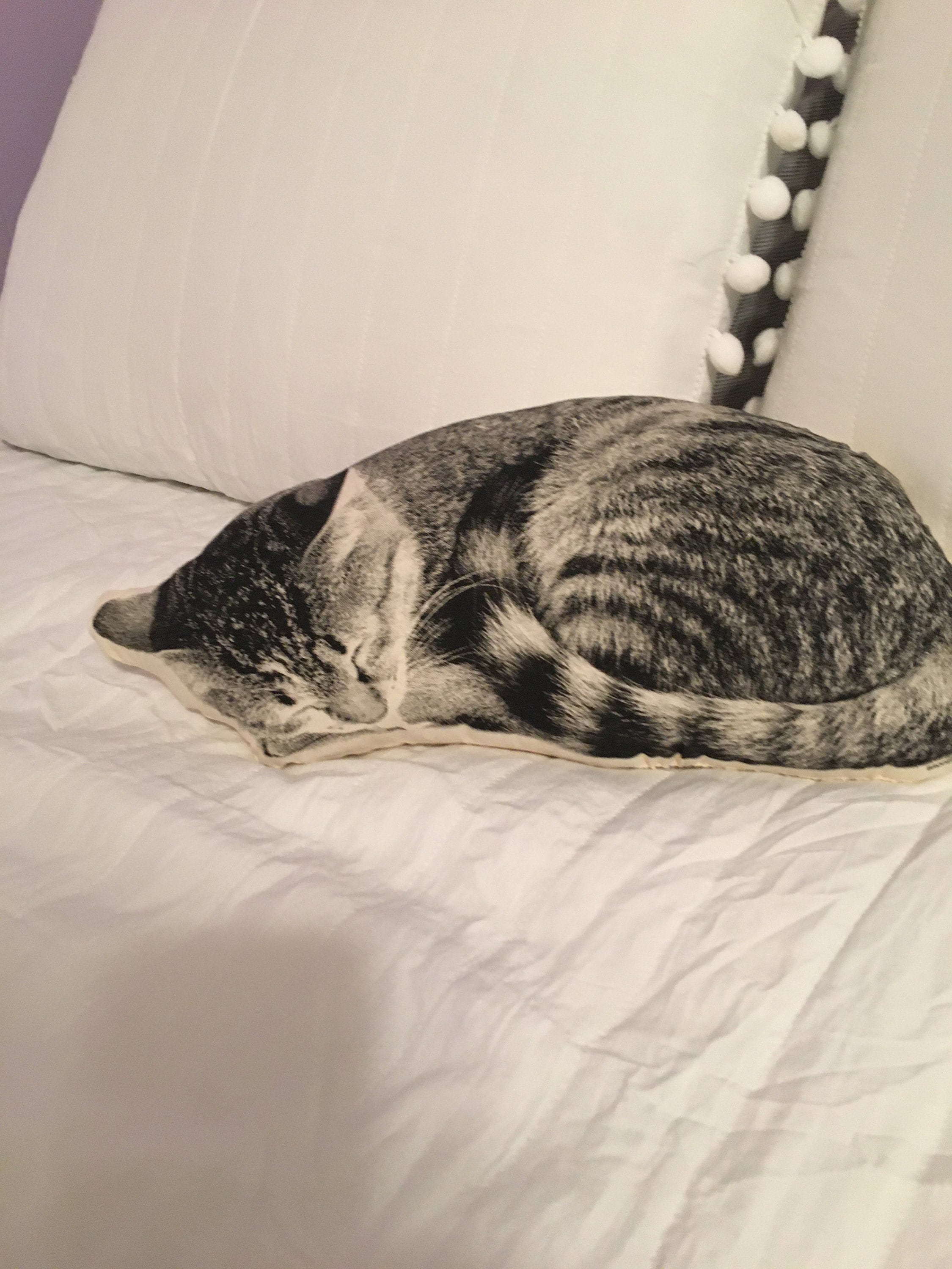 Silkscreen Sleeping Cat Pillow
