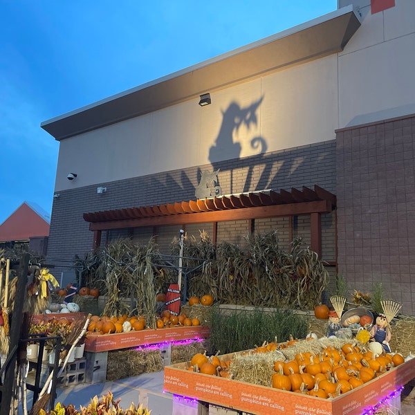 3ft Scary Black Cat Template When Made. Printable Trace and Cut ...