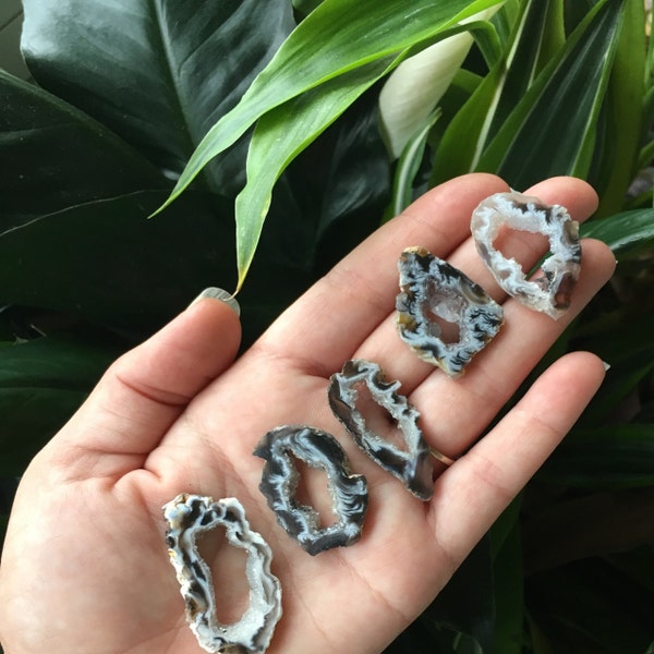 Agate Slice - Occo Geode Agate Slices Highest Special A Quality ...