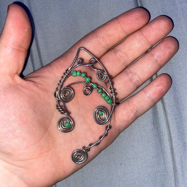 Real Insect Shadow Box - Etsy