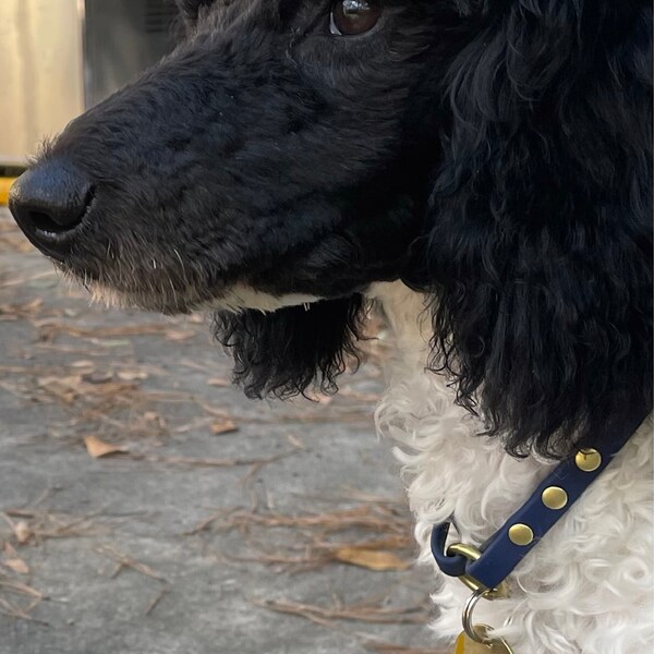Custom Dog Tag / Custom Pet ID Tag - Lucy - in 1.25'' Domed Bronze ...