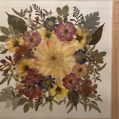 Pressed Tulip Flower Frame Real Tulip Artwork. - Etsy