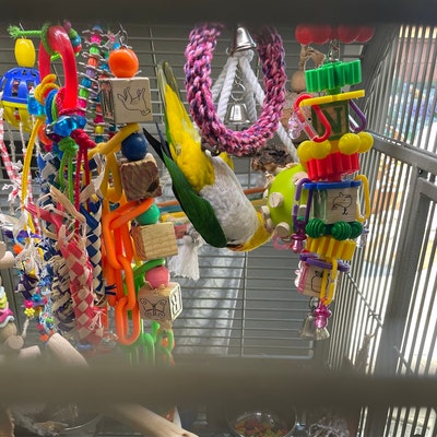 Quirky Corky by Cheep Thrills Bird Toys - Etsy