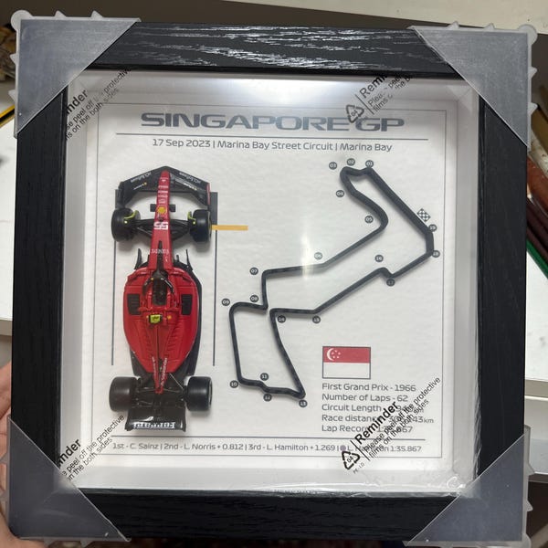 F1 Encadré - GP de SAO PAULO 2024 | avec la voiture gagnante de Max ...