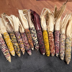 Mini Indian Corn Wreath KIT: Make Your Own Choose From a 14, 12 or 10 ...