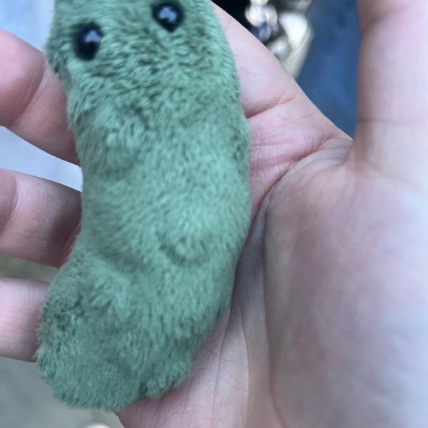 Pocket Pickle Sensory Comfort, Emotional Support Pickle Pet, Autism Toy ...