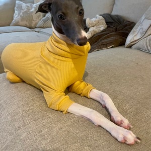 Italian Greyhound Rib Knit Pjs - Etsy