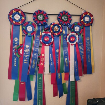 4-H FFA Ribbon Holder Display Award Rack Dog Show Ribbon - Etsy