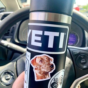 Dead Lift Sticker, Funny Vinyl Sticker, PREMIUM Quality, Laminated ...