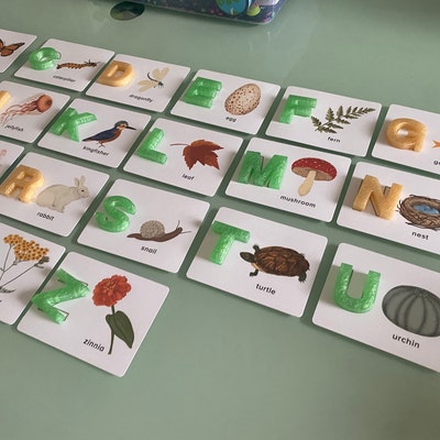 Nature ABC Chart Printable Page Homeschool Printables - Etsy