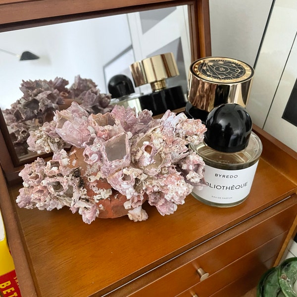 Two Large Antique Broken Conch Shell Beach Decor. Collectible Drift ...