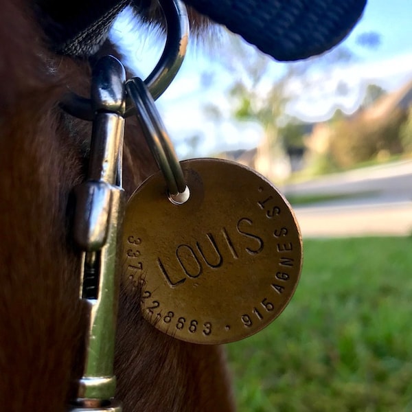 Custom Dog Tag / Custom Pet ID Tag - Lucy - in 1.25'' Domed Bronze ...