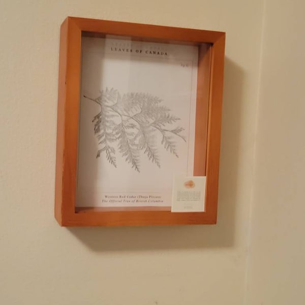 Nova Scotia, Mayflower Botanical Wall Art- the Official Provincial ...