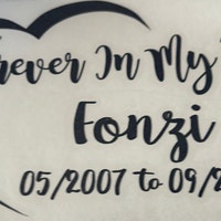 Snow Life / 18 Vinyl Vehicle Snowmobile Salt Life Style Graphic ...