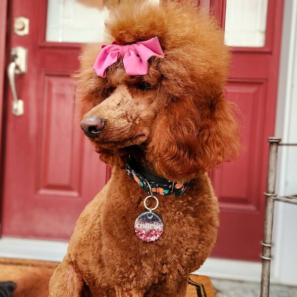 Matching Dog Tags and Keychain Custom Dog Tag Resin Dog Tag Glitter ...