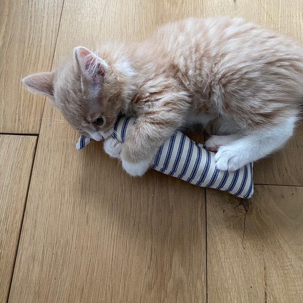 Cat Toys and Gifts - the Kitty Cuddle Collection - a Gift Box of ...