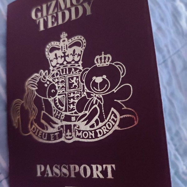 Real Foil Teddy Bear Passport Personalised With Name and Picture ...