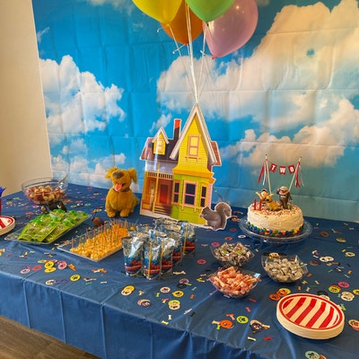 Disney UP House Character Prop Kids Party Decoration Ideas Summer ...