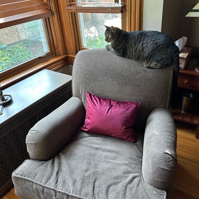 Fast Shipping Mask From US Face Mask Reusable Face Mask - Etsy