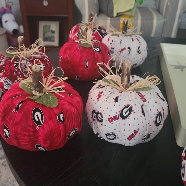 Uga,fabric College Pumpkin, Fall Decor, Autumn Decor, College Football ...