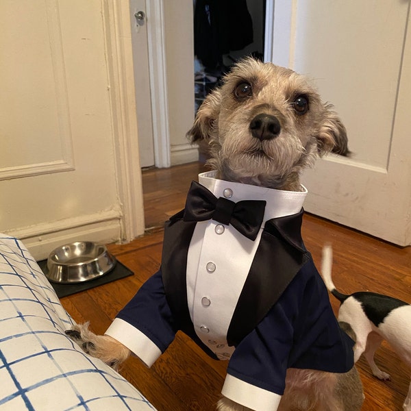 Navy Blue Dog Tuxedo With Black Lapels and Black Satin Bow Dog Wedding Attire Formal Dog Suit ...