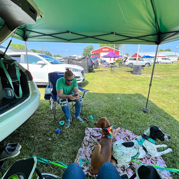 Genuine Wooden Piggy Train Bank | Handmade Wooden Train Bank | Solid ...