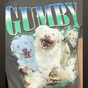 Vintage 90s Bootleg Custom Shirt, Personalize Your Comfort Color ...