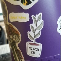 You Grow Girl Potted Plant Sticker, Potted Plants Succulent Planting ...