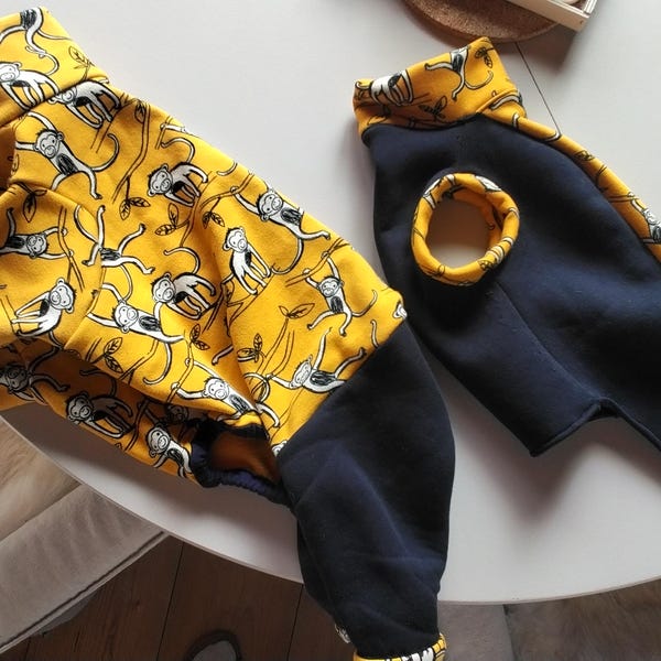 Sewing Pattern for Italian Greyhound Coat / Jacket / Waterproof ...