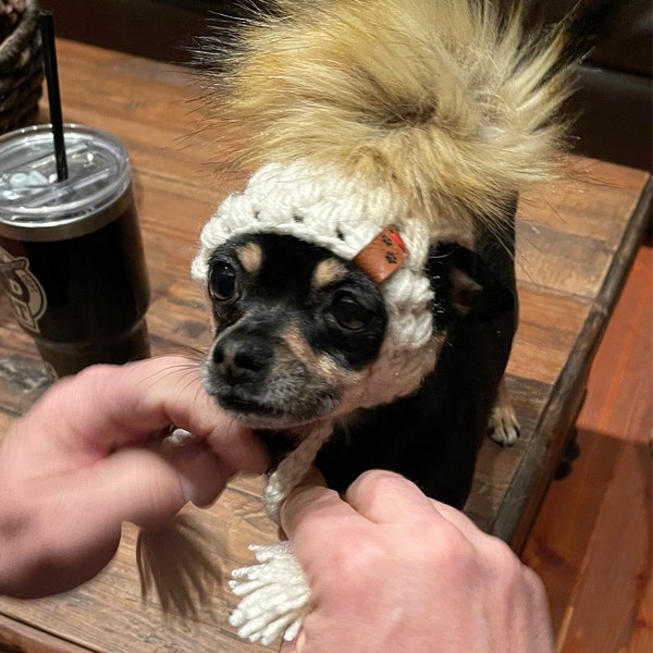 Crochet Pet Hat Crochet Dog Hat Crochet Cat Hat Crochet Dog Beanie Pet ...