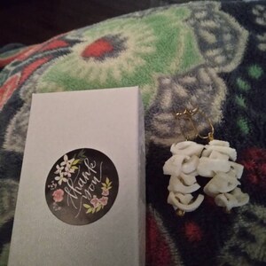 Pearl Turbo Setosus Shell 1 3/4 2 1/4 Opening 1 - Etsy