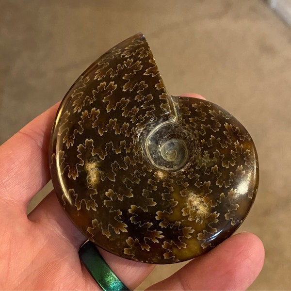 High-grade Amethyst Crystal Cut Base Geode in Basalt - Etsy