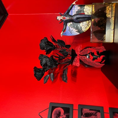 Human VERTEBRAE Spine Decoration Resin Spinal Column Many Colors ...