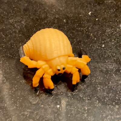 Set of Miniature Hermit Crabs Mini Crabs Terrarium Supplies Teeny Tiny ...