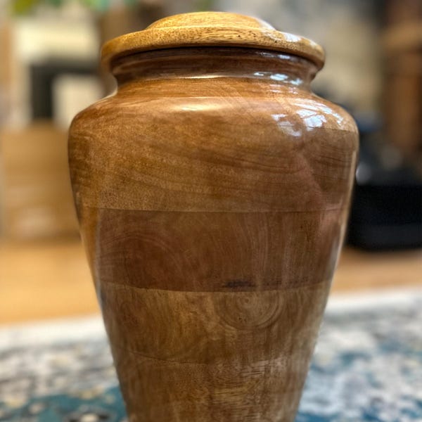Urn for Precious Ashes, Memorial Cremation Jar Container for Funeral ...