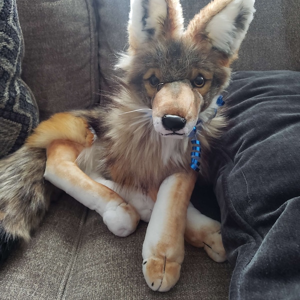 Made to Order NOT in Stock Life-size Common Genet Plush Made of Luxury ...