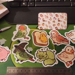 Fruit Salad Bird Sticker Set / Cockatiel Sticker / Bird Lover Water ...