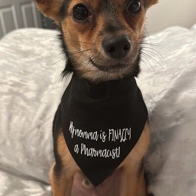 Custom Vet Tech Fanny Pack Vet Tech Tool Belt Vet Tech - Etsy