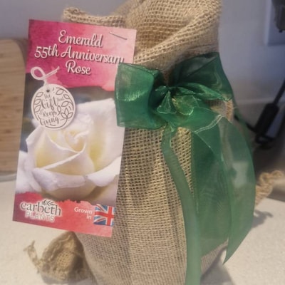 Happy Retirement Rose Bush Gift Wrapped Help A Colleague or - Etsy UK