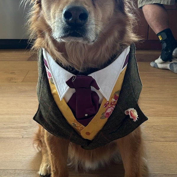 Dog Rugby Shirts. Dog Clothes. Dog Sweatshirts. Dog Outdoor Attire ...