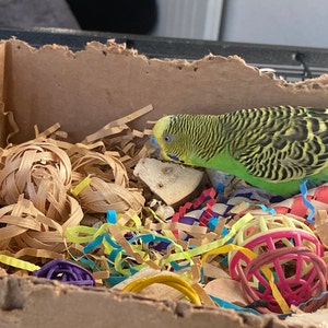 5 Bamboo Firecracker Talon Toys Bird Toys for Pet Parrots by | Etsy