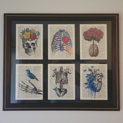 Anatomy Art Print Set 6 Medical Wall Art Anatomical Poster Home Decor ...