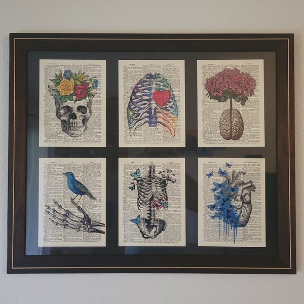 Anatomy Art Print Set 6 Medical Wall Art Anatomical Poster Home Decor ...