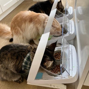 Surefeed Feeder Adjustable Stand raised / Tilted - Etsy